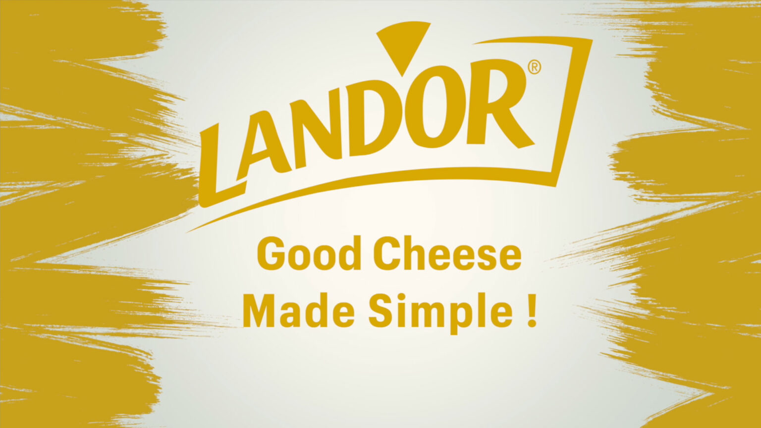 LANDOR GROUP - LANDOR GROUP