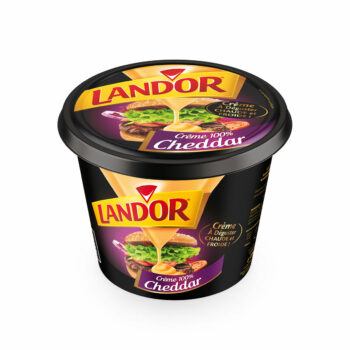 Cheddar liquide Landor 100% - LANDOR GROUP