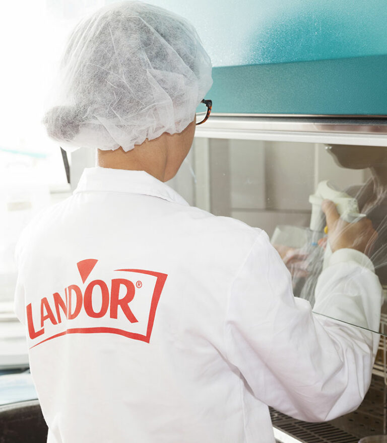 Insights - LANDOR GROUP